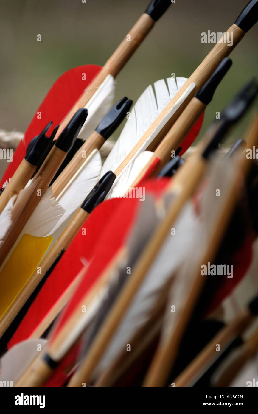 Feather sheath hi-res stock photography and images - Alamy