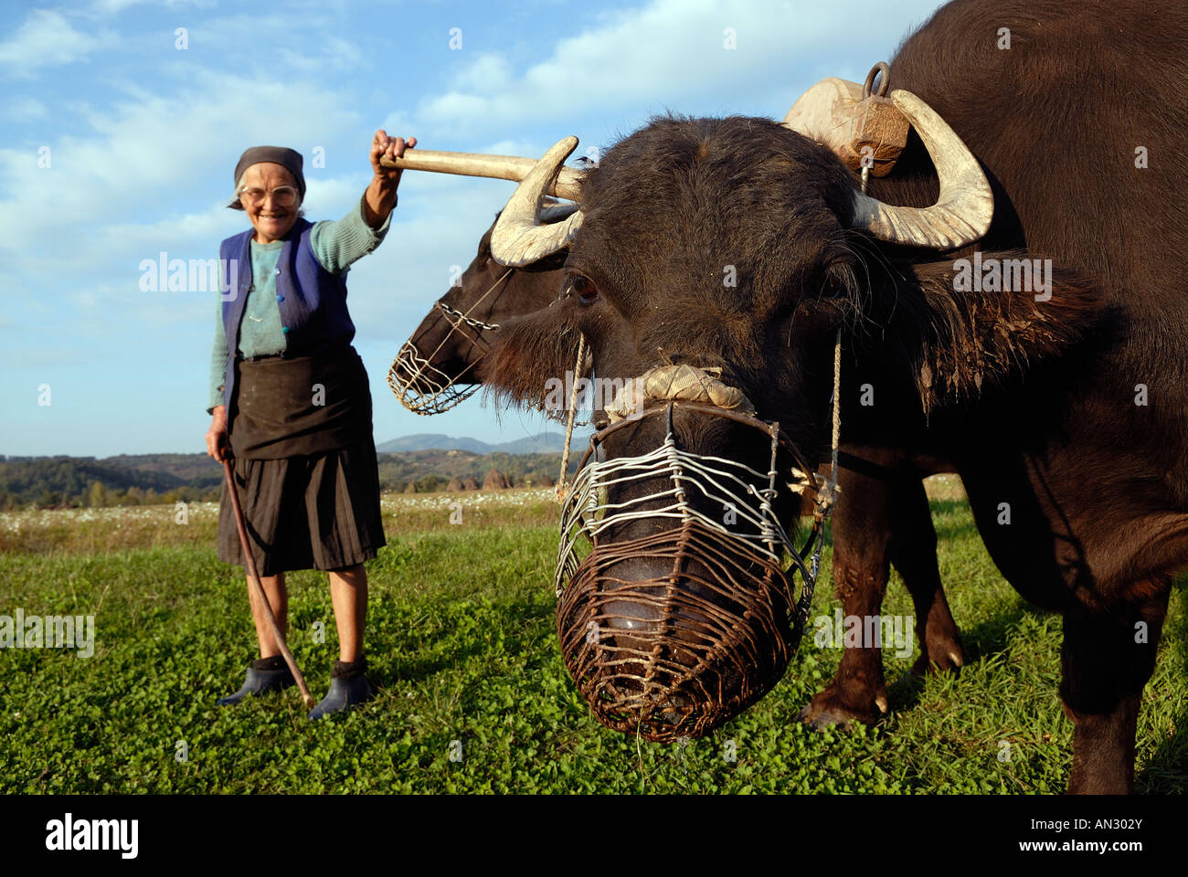 Black buffalo woman hi-res stock photography and images - Alamy