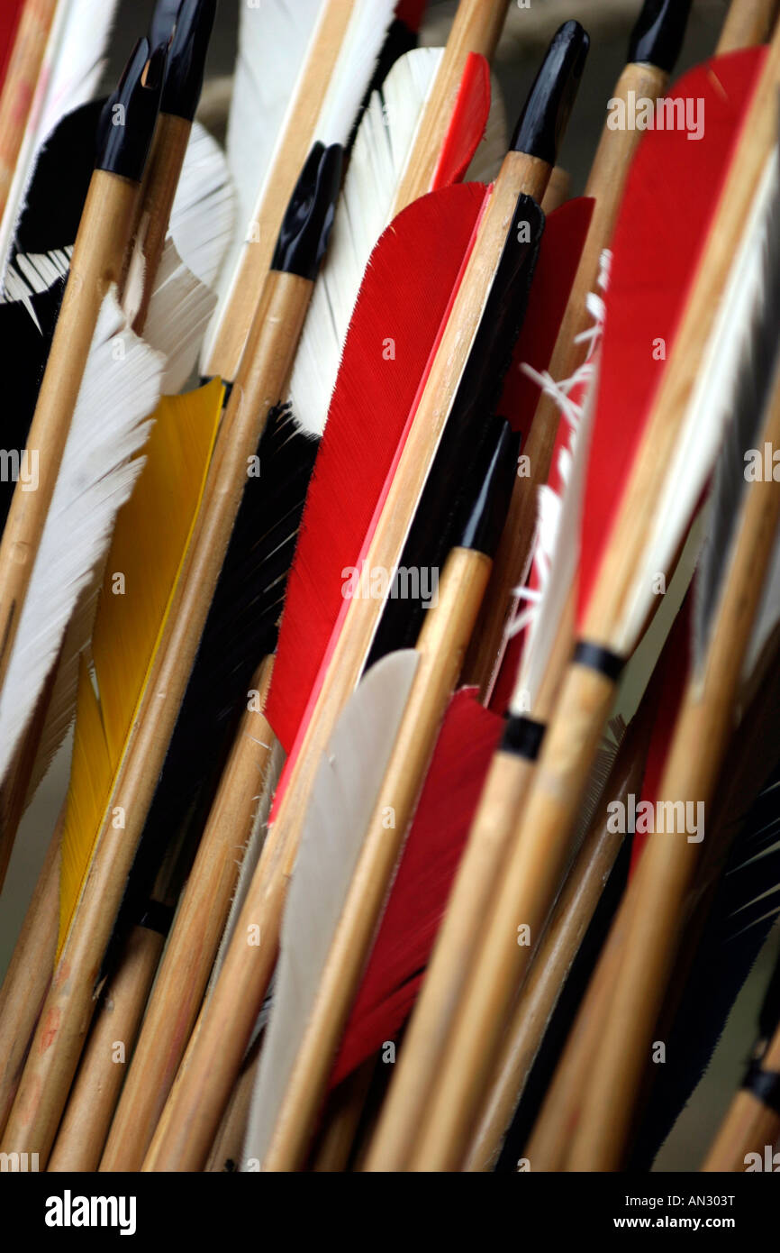 a Sheath of arrows. Goose feather flights and notch Stock Photo - Alamy
