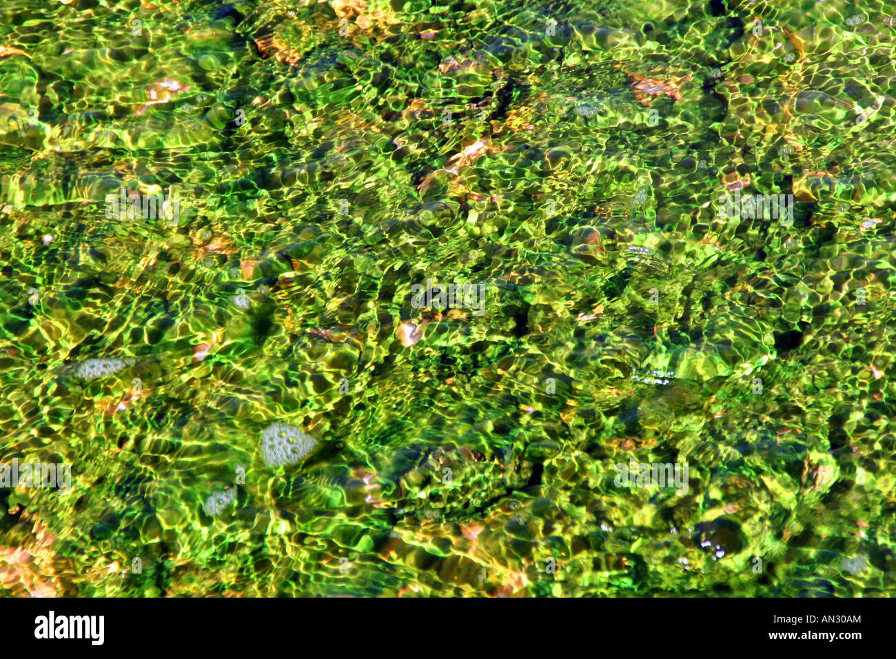 Runoff channel near Whirligig Geyser, Porcelain Basin, Norris Geyser ...