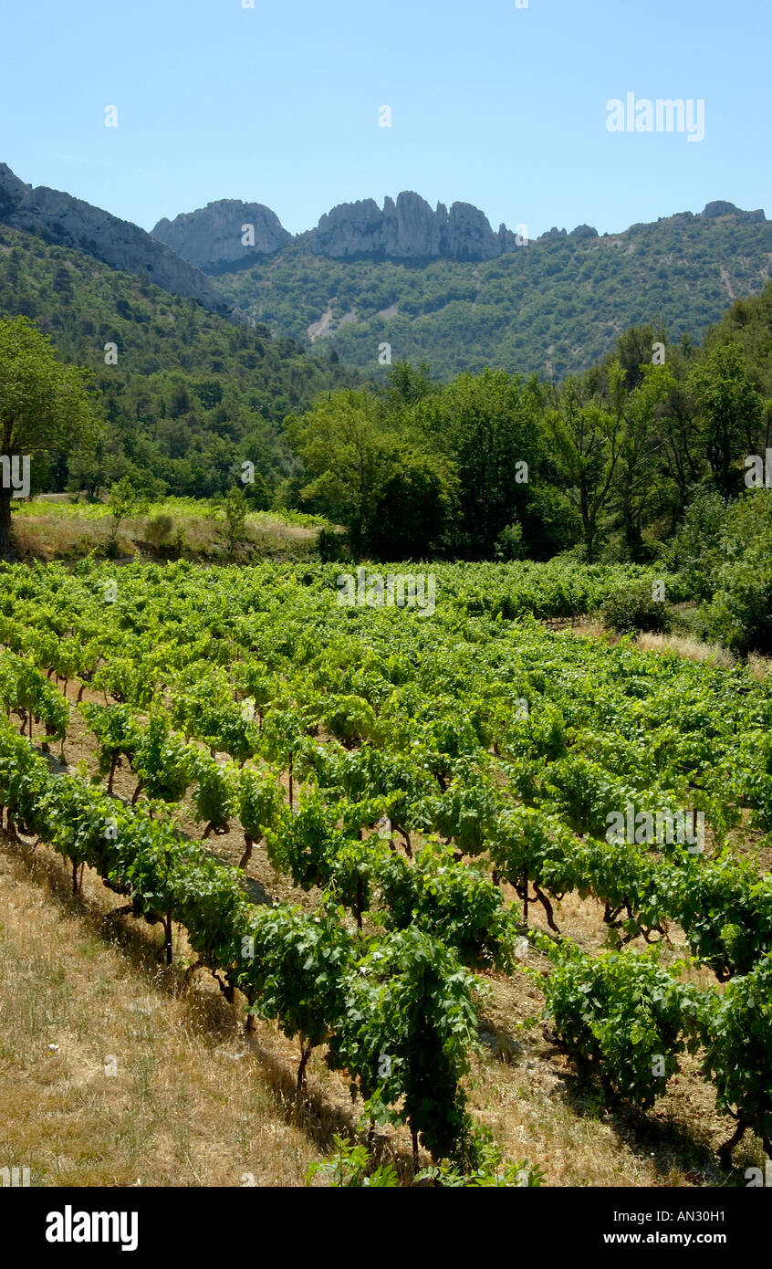 Gigondas vineyard hi-res stock photography and images - Alamy