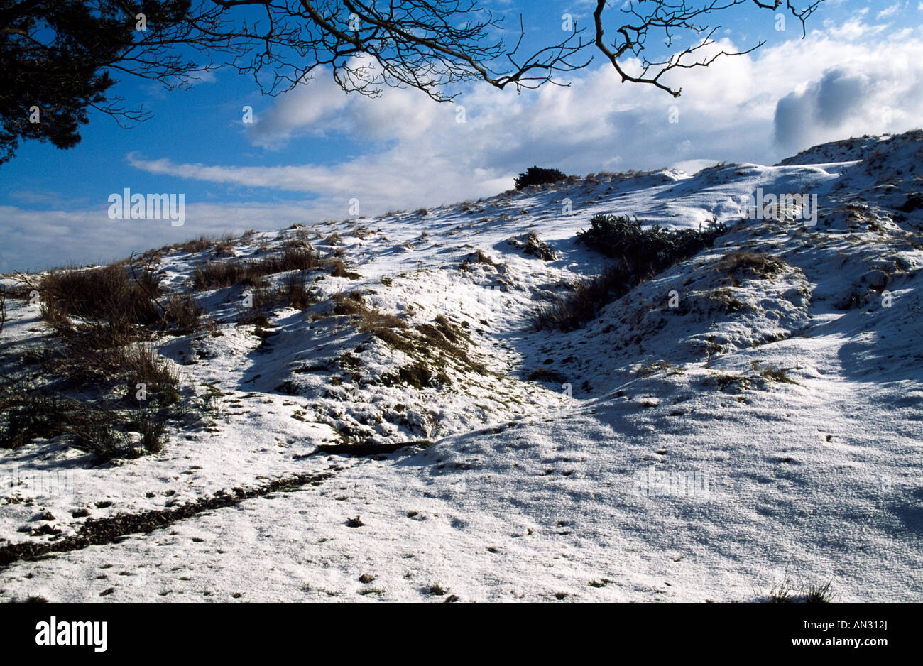 Longshawestate hi-res stock photography and images - Alamy