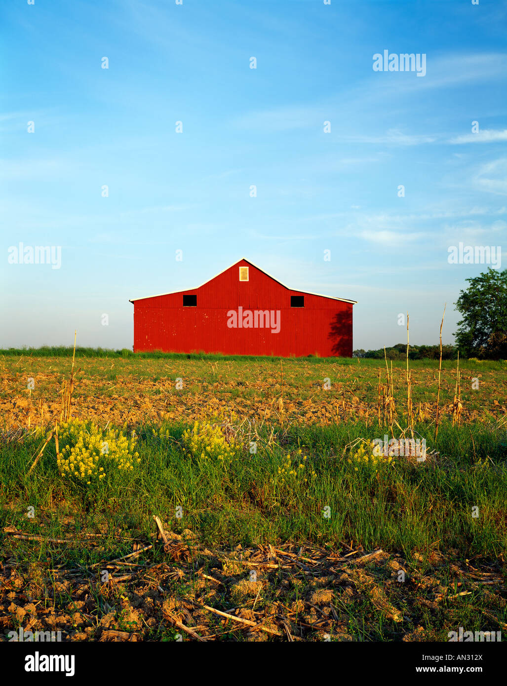 Spring Fields And Barn On Kohler Farm In Bucks County, Pennsylvania ...