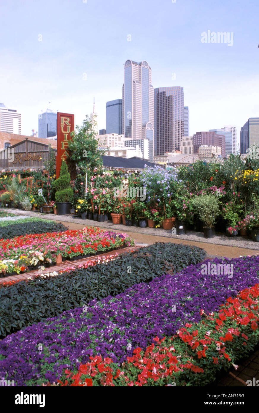 Farmers market dallas hi-res stock photography and images - Alamy