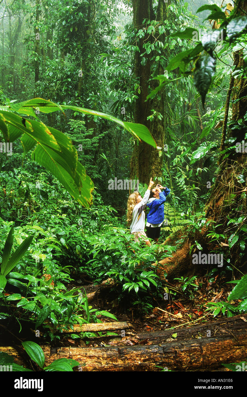 Birdwatching in rainforests hi-res stock photography and images - Alamy