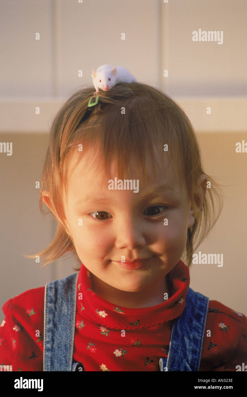 White head on hi-res stock photography and images - Alamy