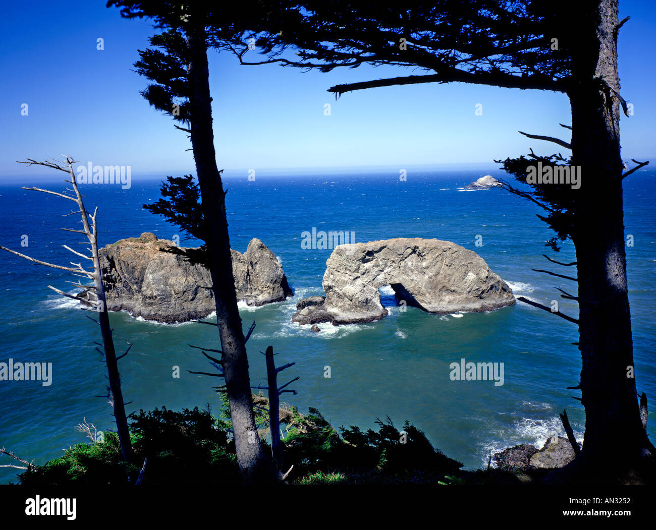 Arch rock oregon coast hi-res stock photography and images - Alamy