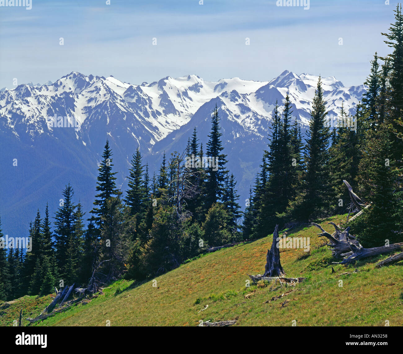 Cascade Mountains in Olympic National Park Washington State USA Stock ...