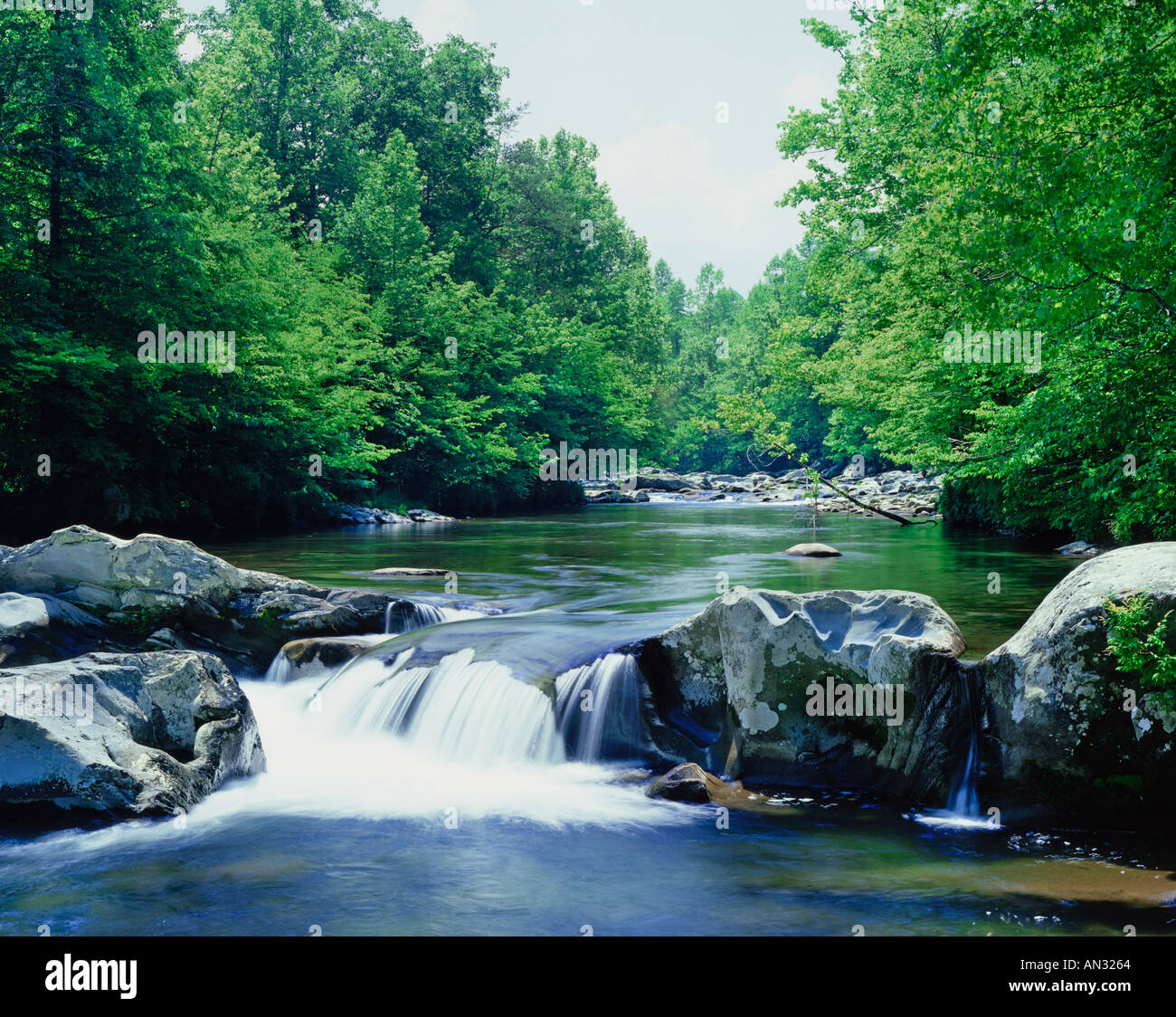 South Fork of Little Pigeon River in Tennessee USA Stock Photo - Alamy
