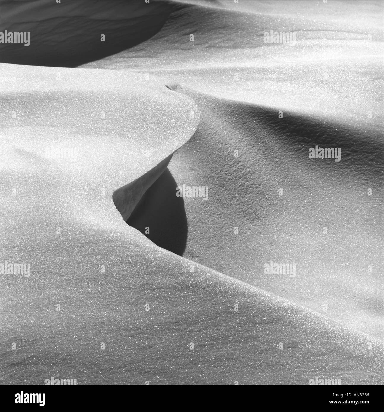 Wind Blown Snow Stock Photo - Alamy