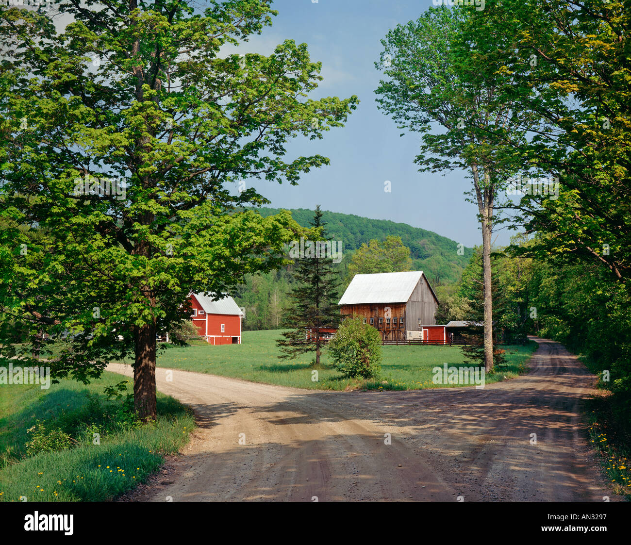 farm near village of East Orange Vermont USA Stock Photo - Alamy