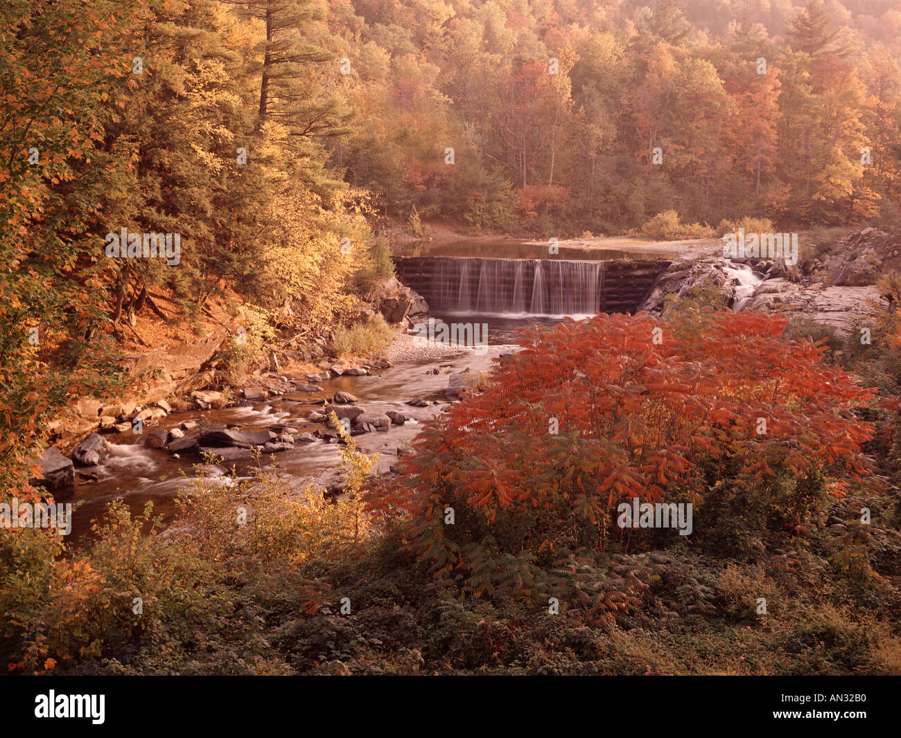 Williamsville hi-res stock photography and images - Alamy