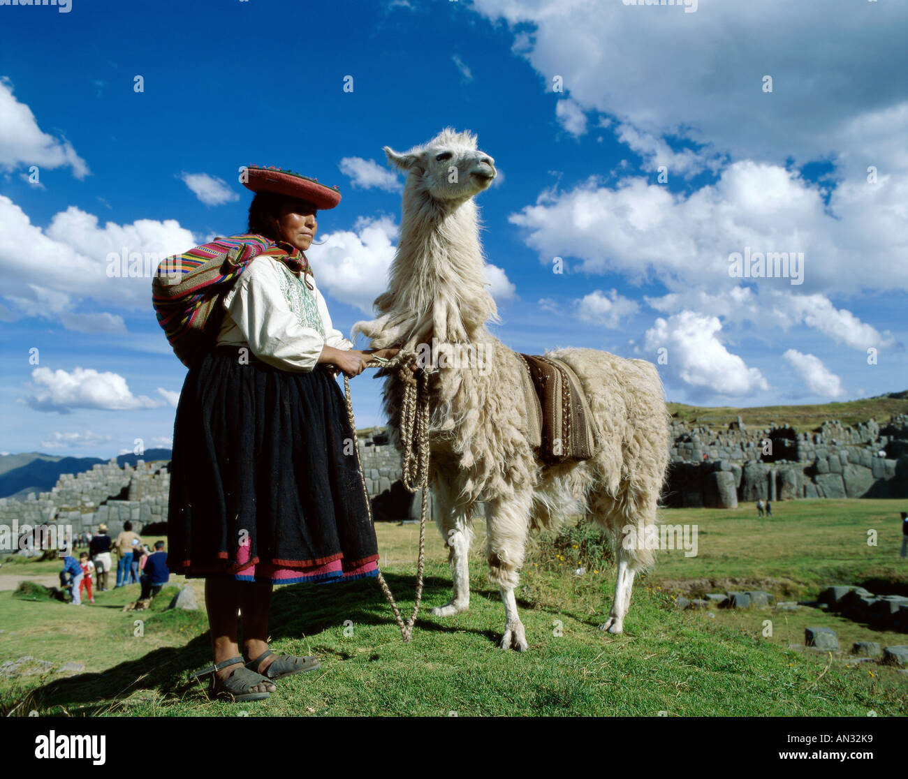 Llama sacsayhuaman peru hi-res stock photography and images - Alamy
