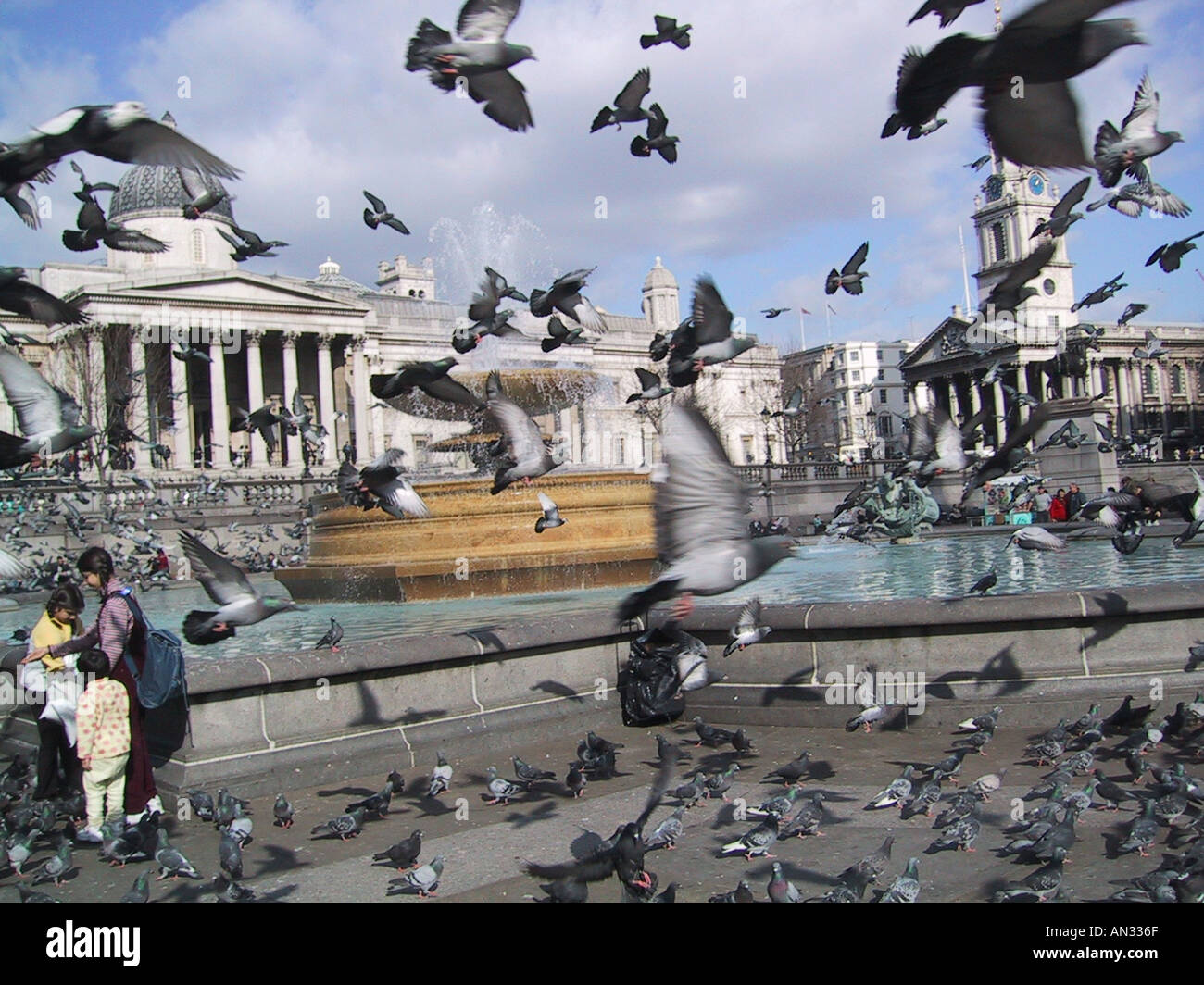 Trafalgar square pigeons hi-res stock photography and images - Alamy
