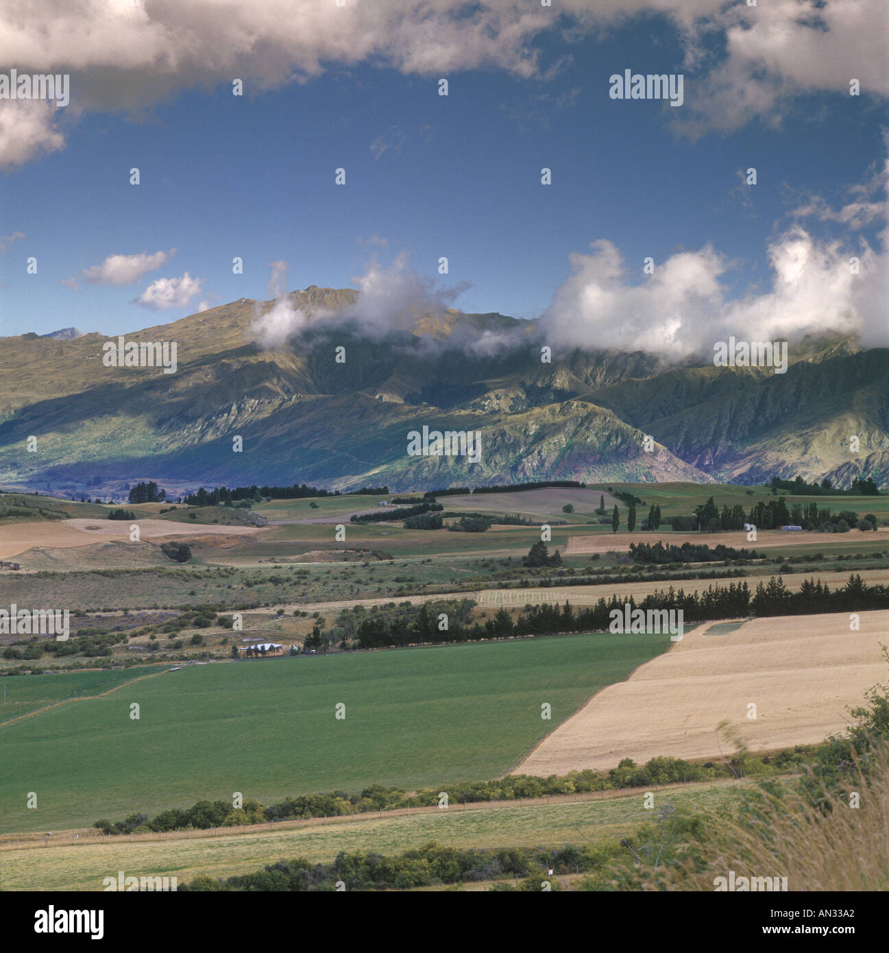 New Zealand Farms Stock Photo - Alamy