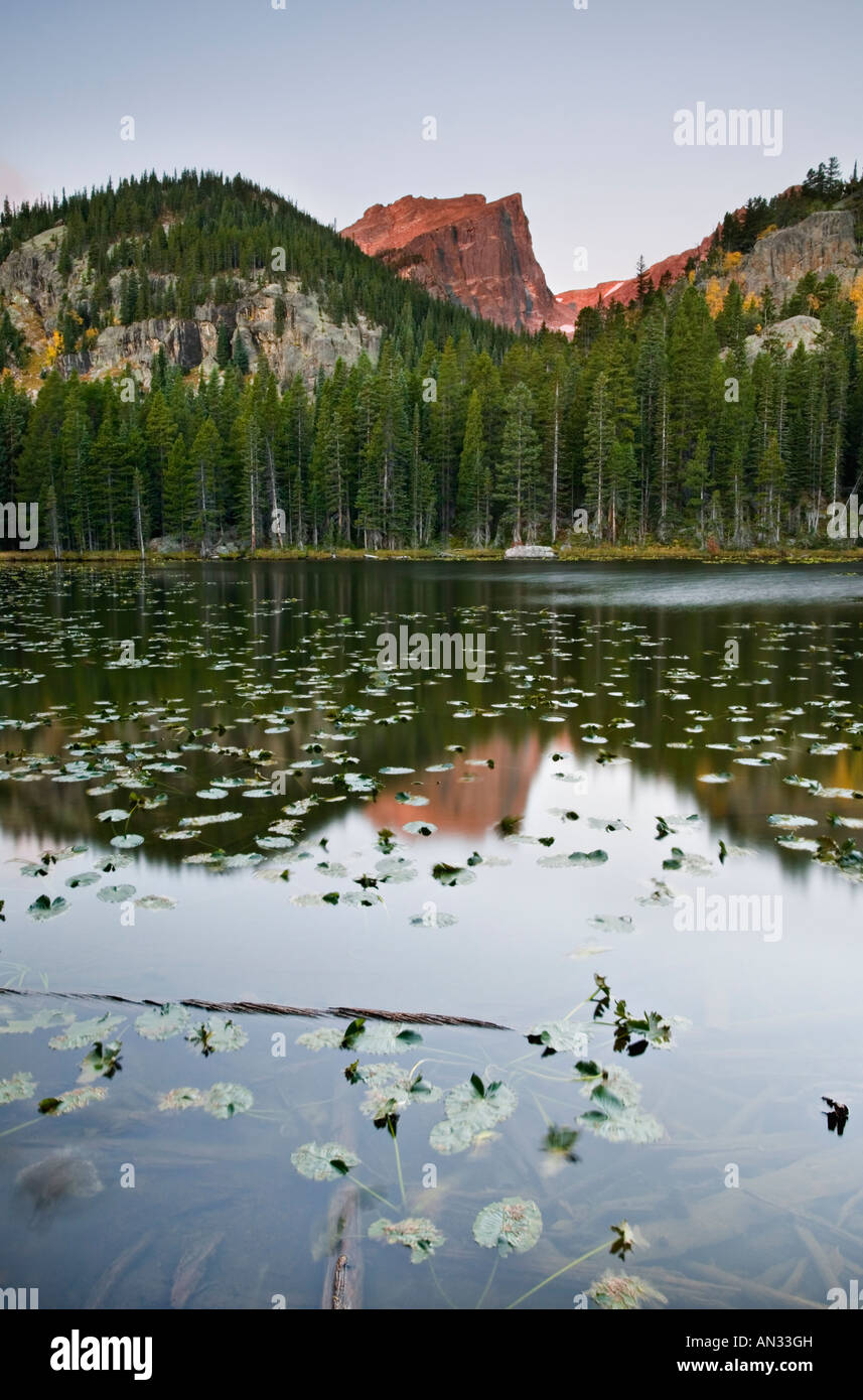 Sunrise scenic reflection of Hallett Peak from Nymph Lake Rocky Mtn Nat ...