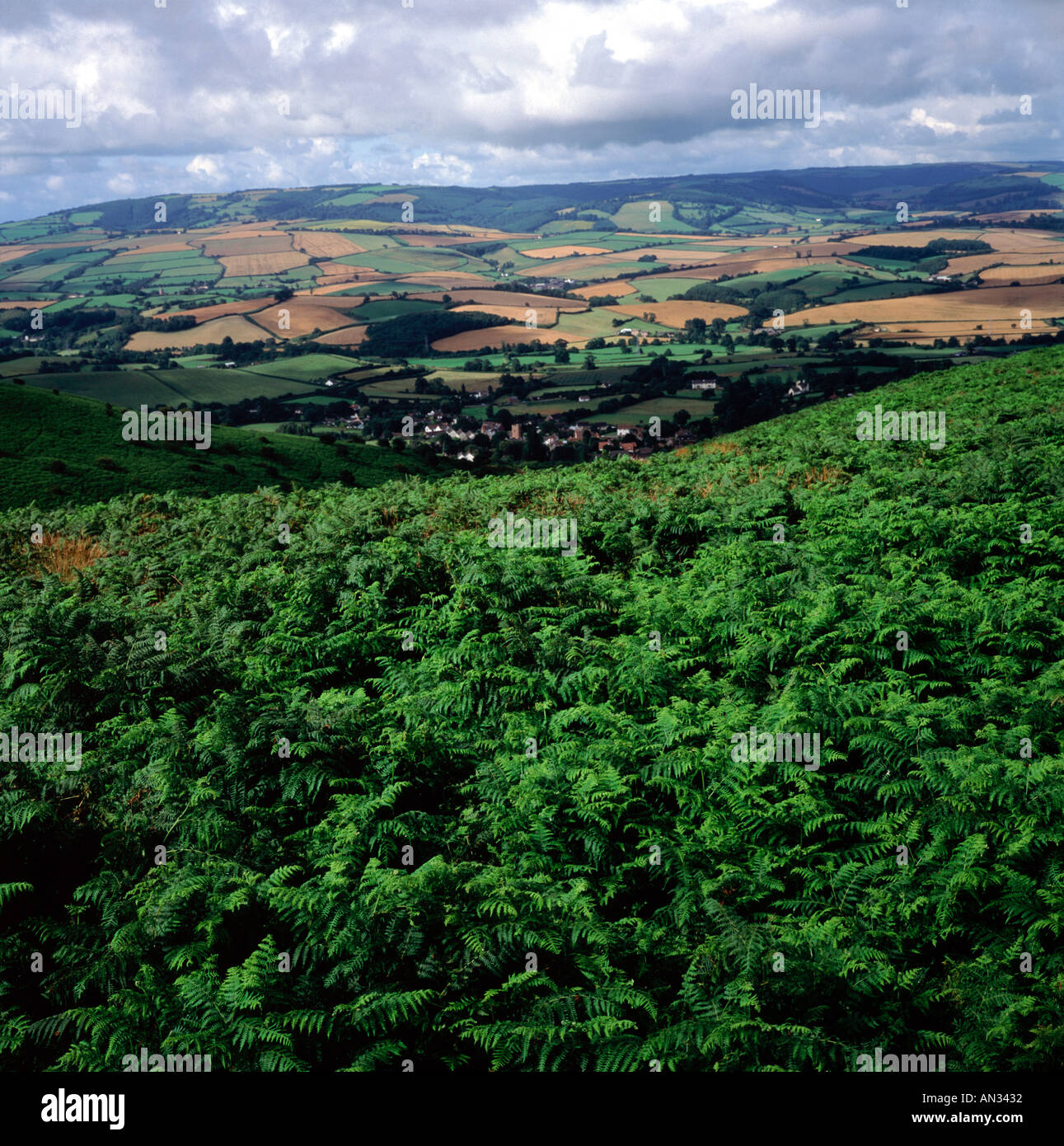 Devon murray hi-res stock photography and images - Alamy