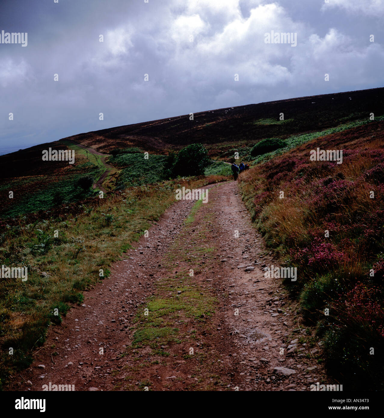 Quantock hills walk hi-res stock photography and images - Alamy