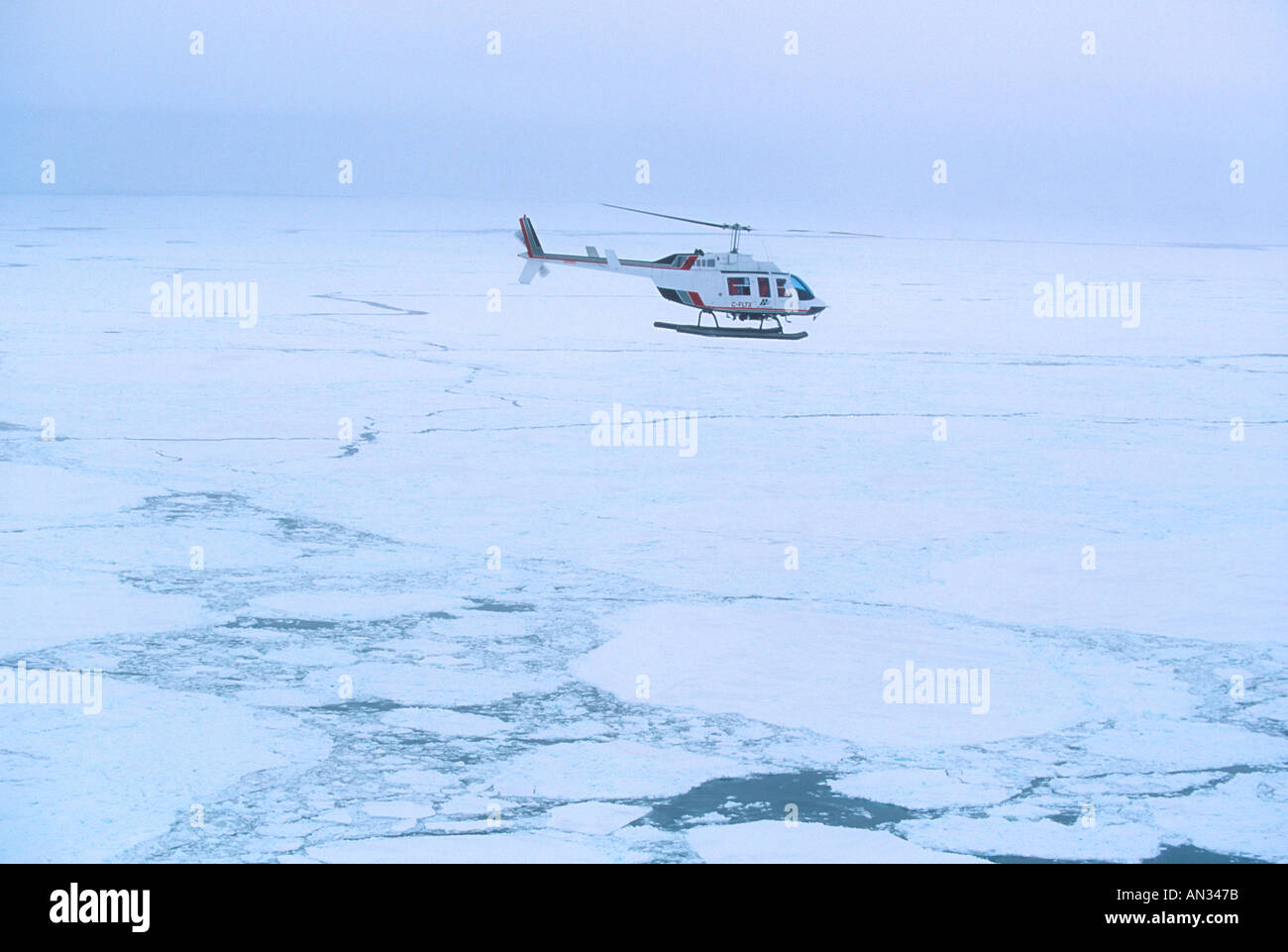 Helicopter flying ecotourists over pack ice North Atlantic Stock Photo ...