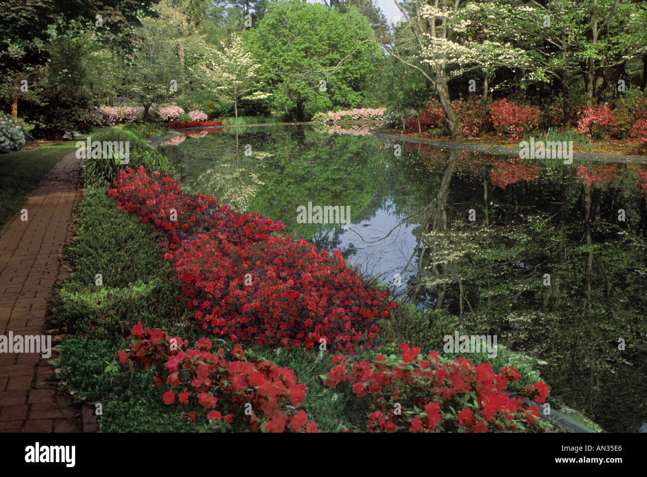 Peaceful: A brick path beside a pond with blooming spring azaleas and ...