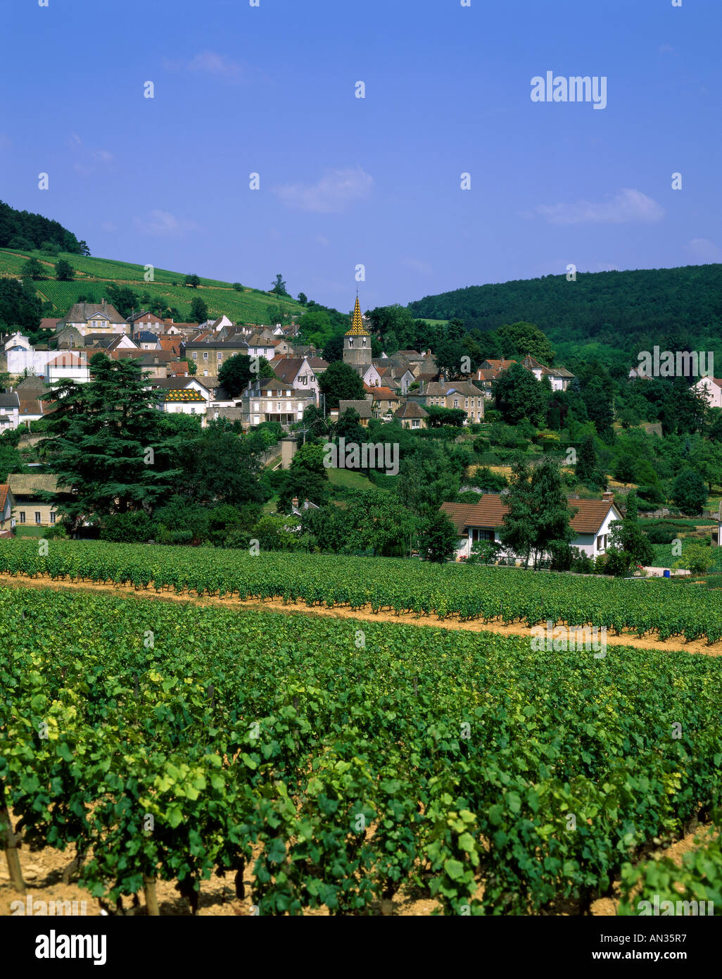 Village of meursault hi-res stock photography and images - Alamy