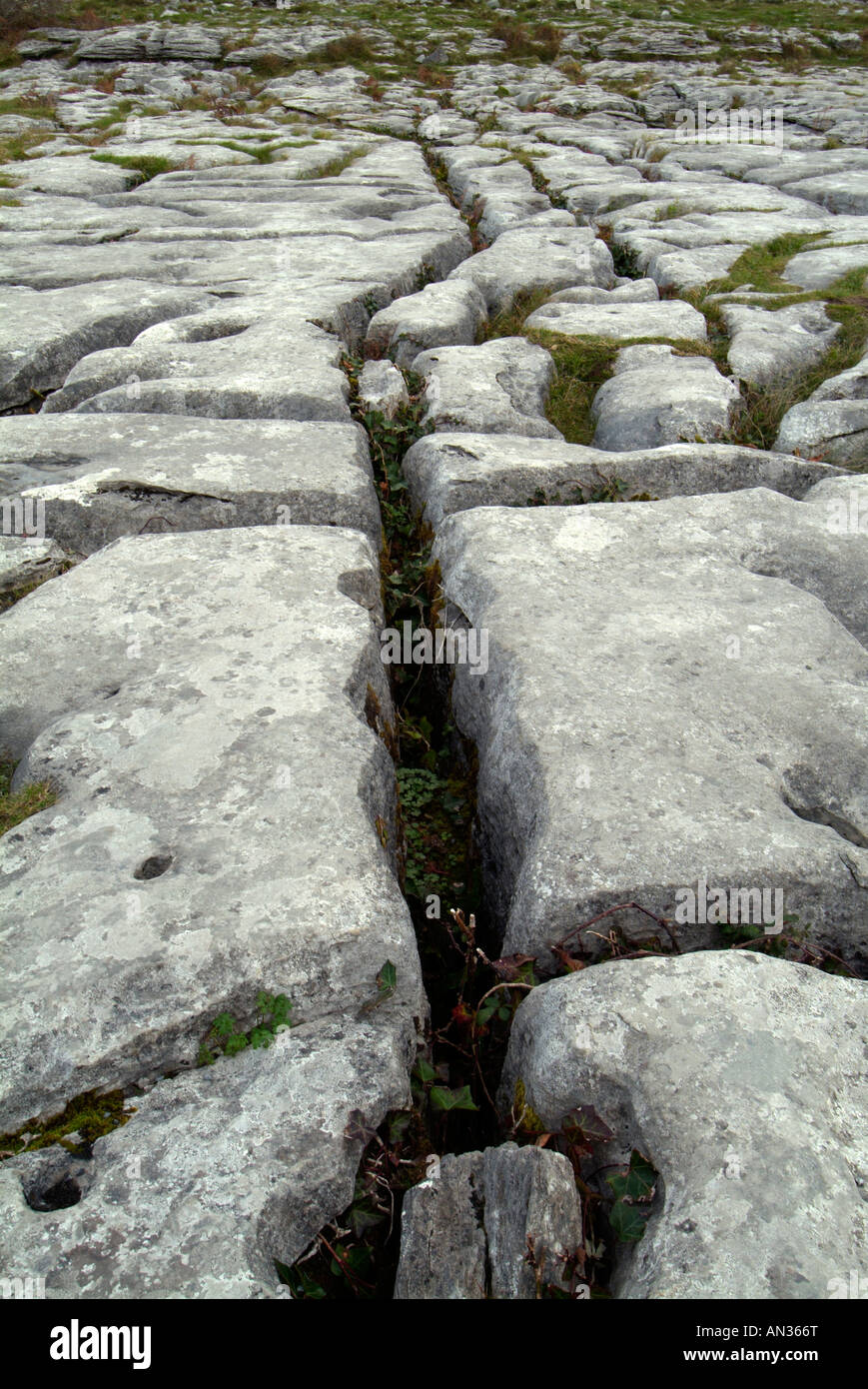 Limestone burren pavement hi-res stock photography and images - Alamy