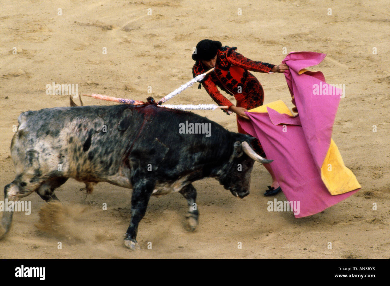 Plaza de Toros / Bullfighting, Ronda, Andalusia, Spain Stock Photo - Alamy