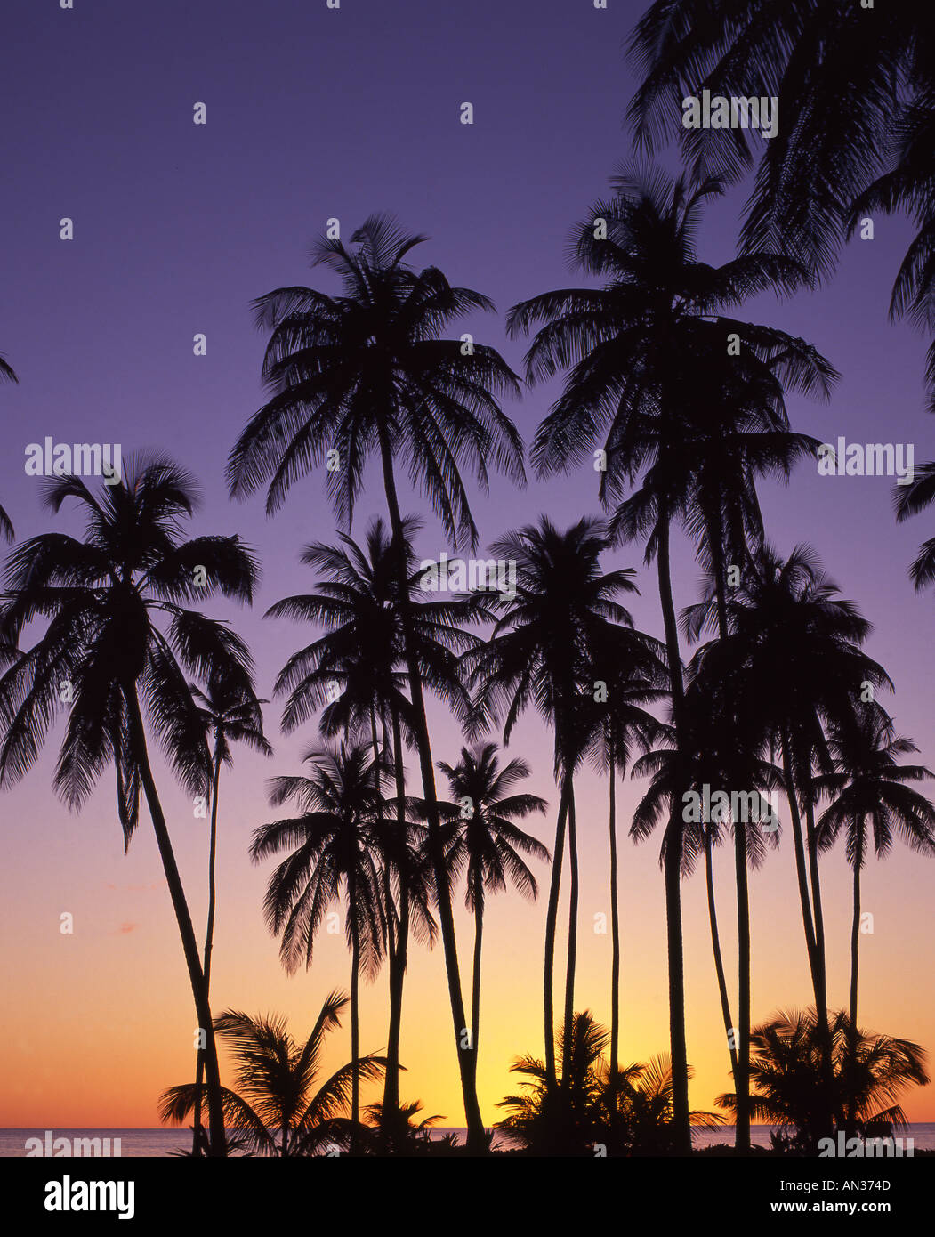 Pinney beach nevis hi-res stock photography and images - Alamy