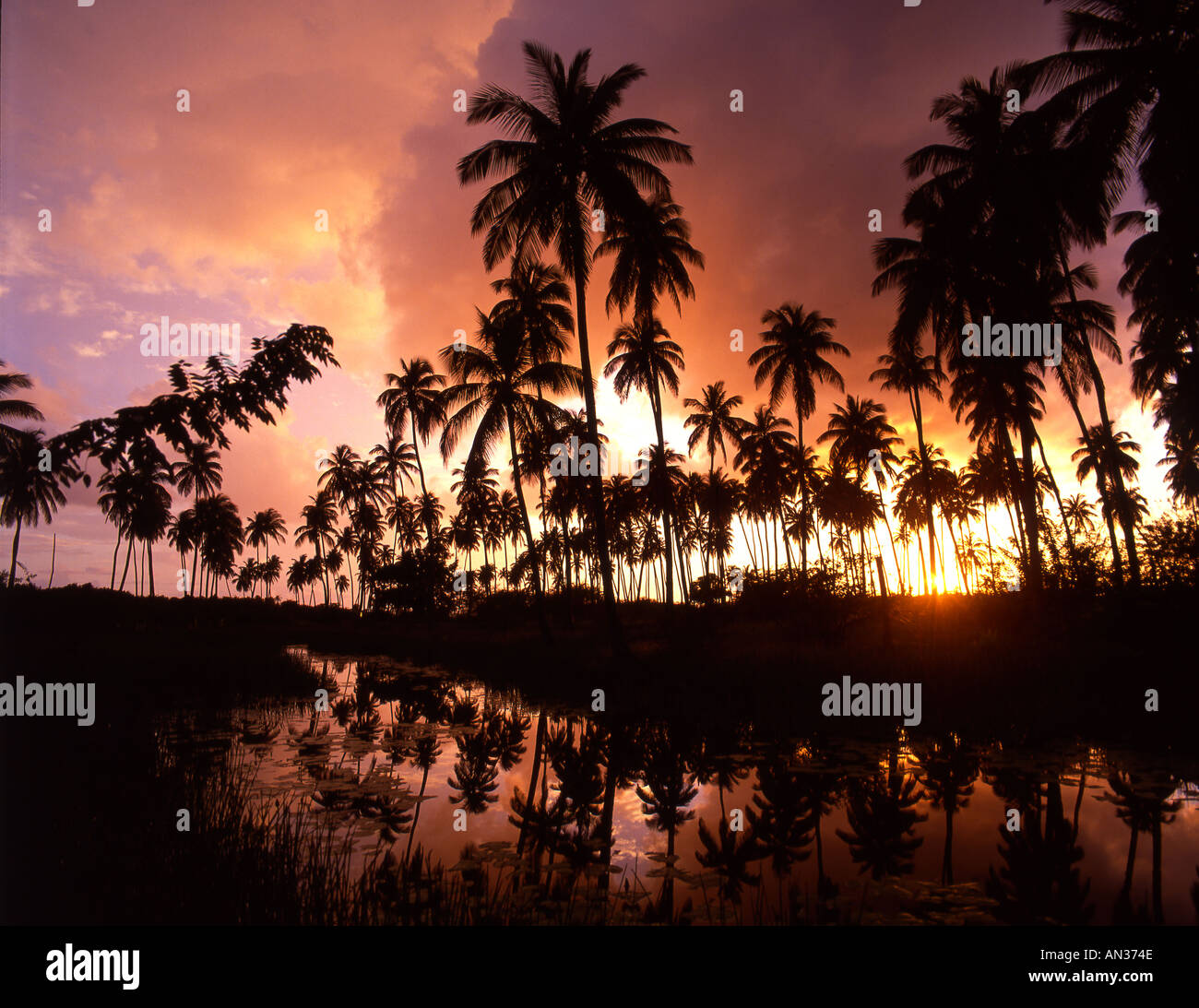 St Kitts and Nevis Nelson Spring lagoon sunset Stock Photo - Alamy