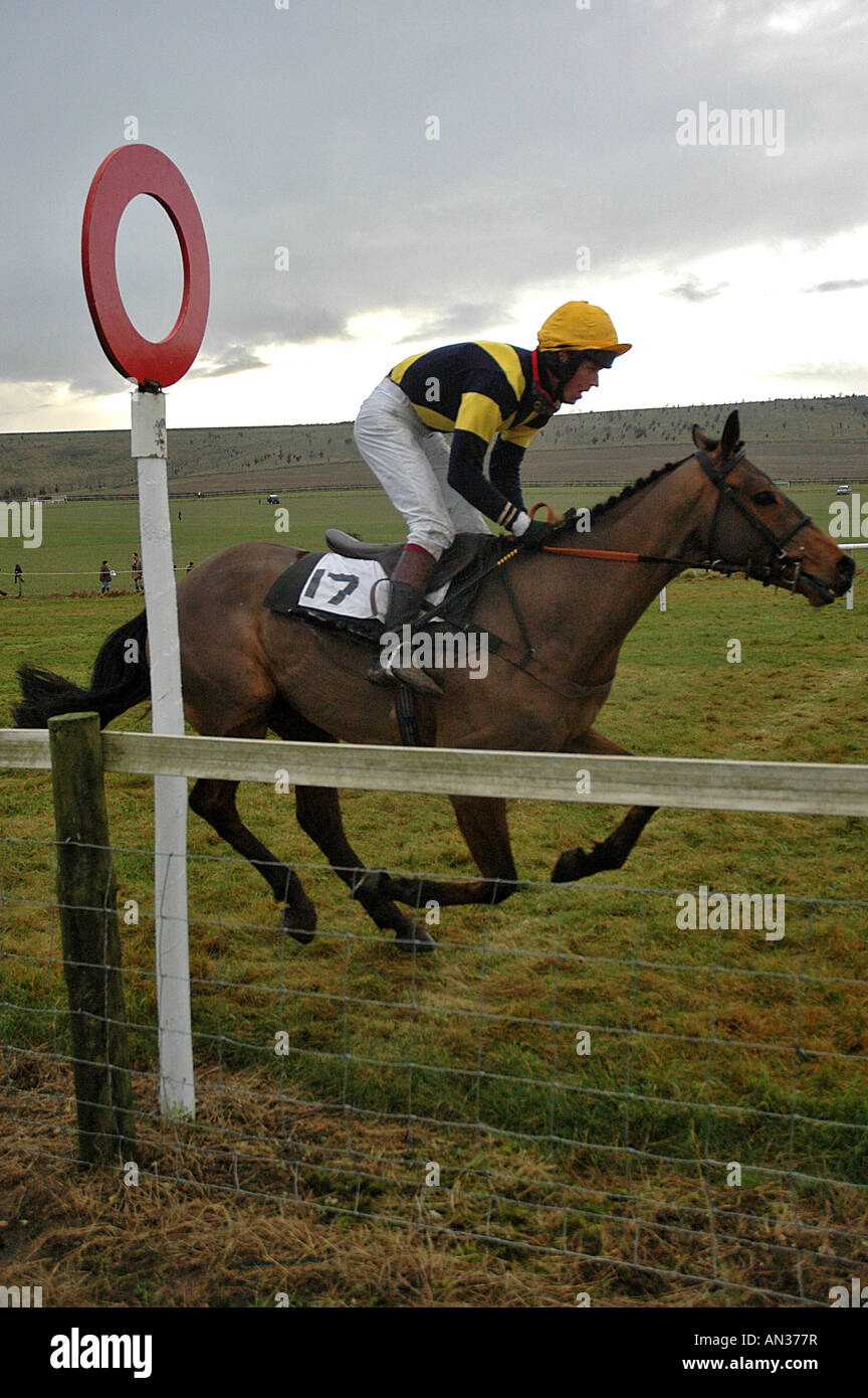 pic martin phelps 14 01 06 barbury castle point to point knighton combe ...