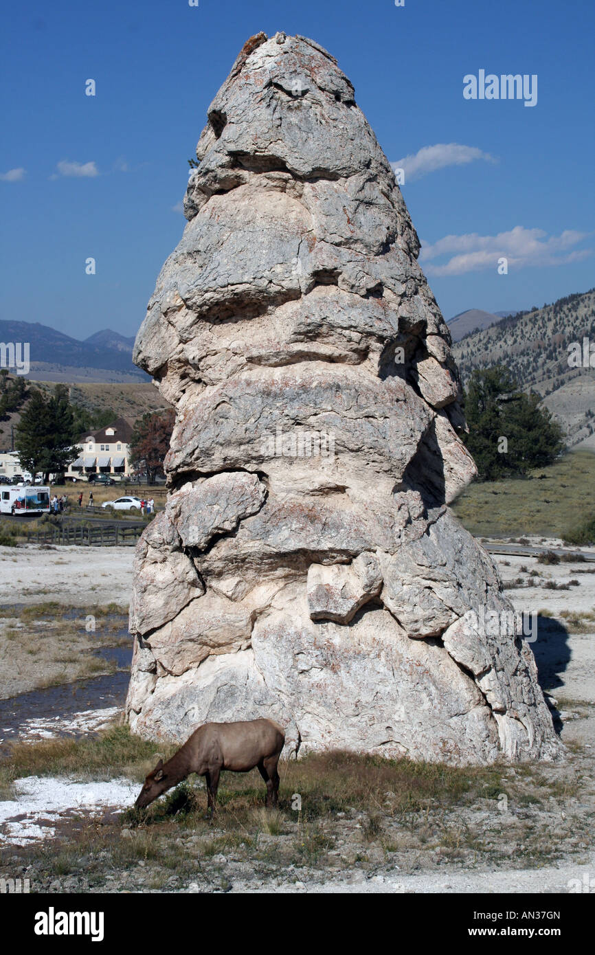 Liberty cap hi-res stock photography and images - Alamy
