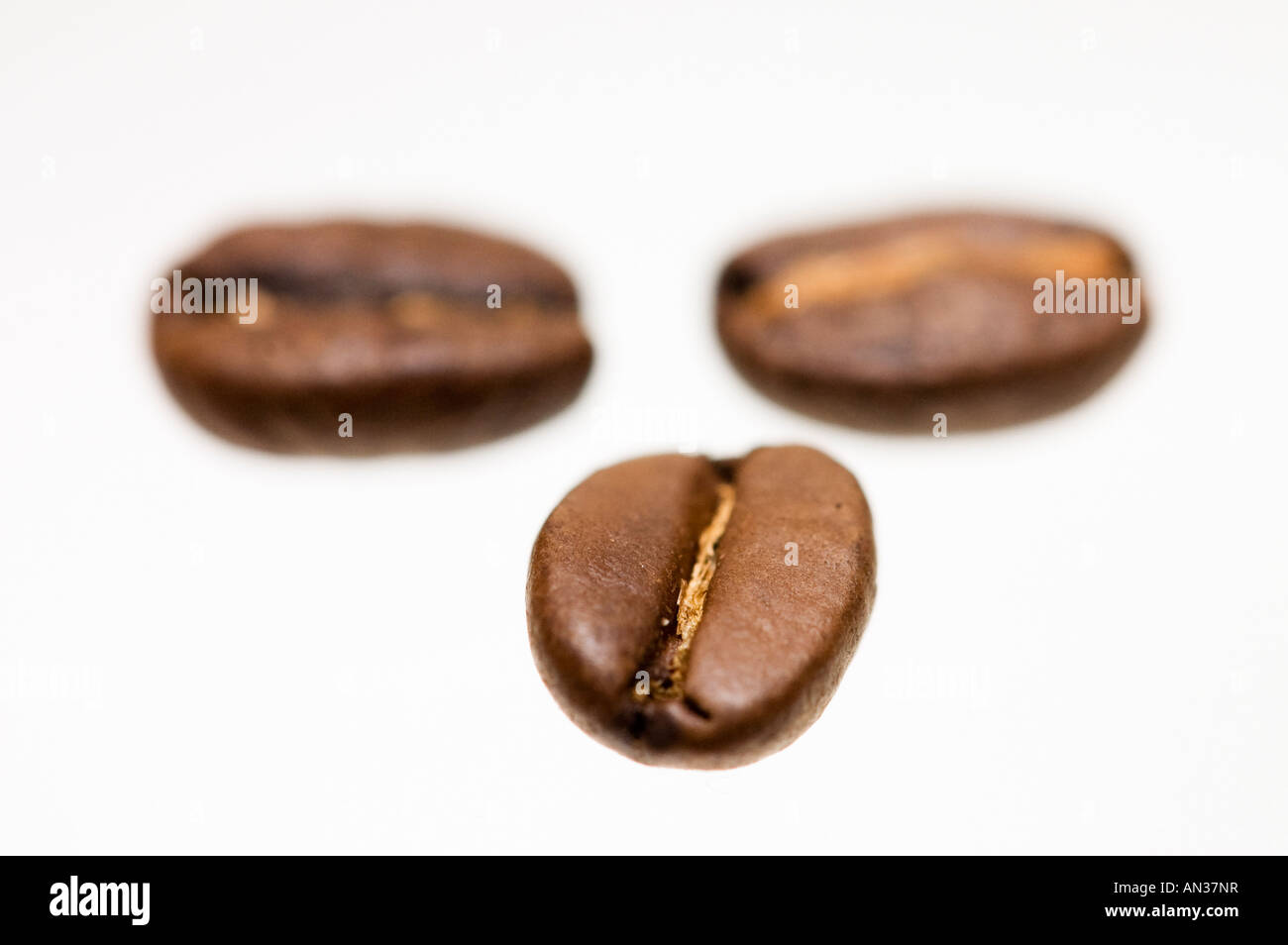 detail of coffee beans on white background Stock Photo - Alamy