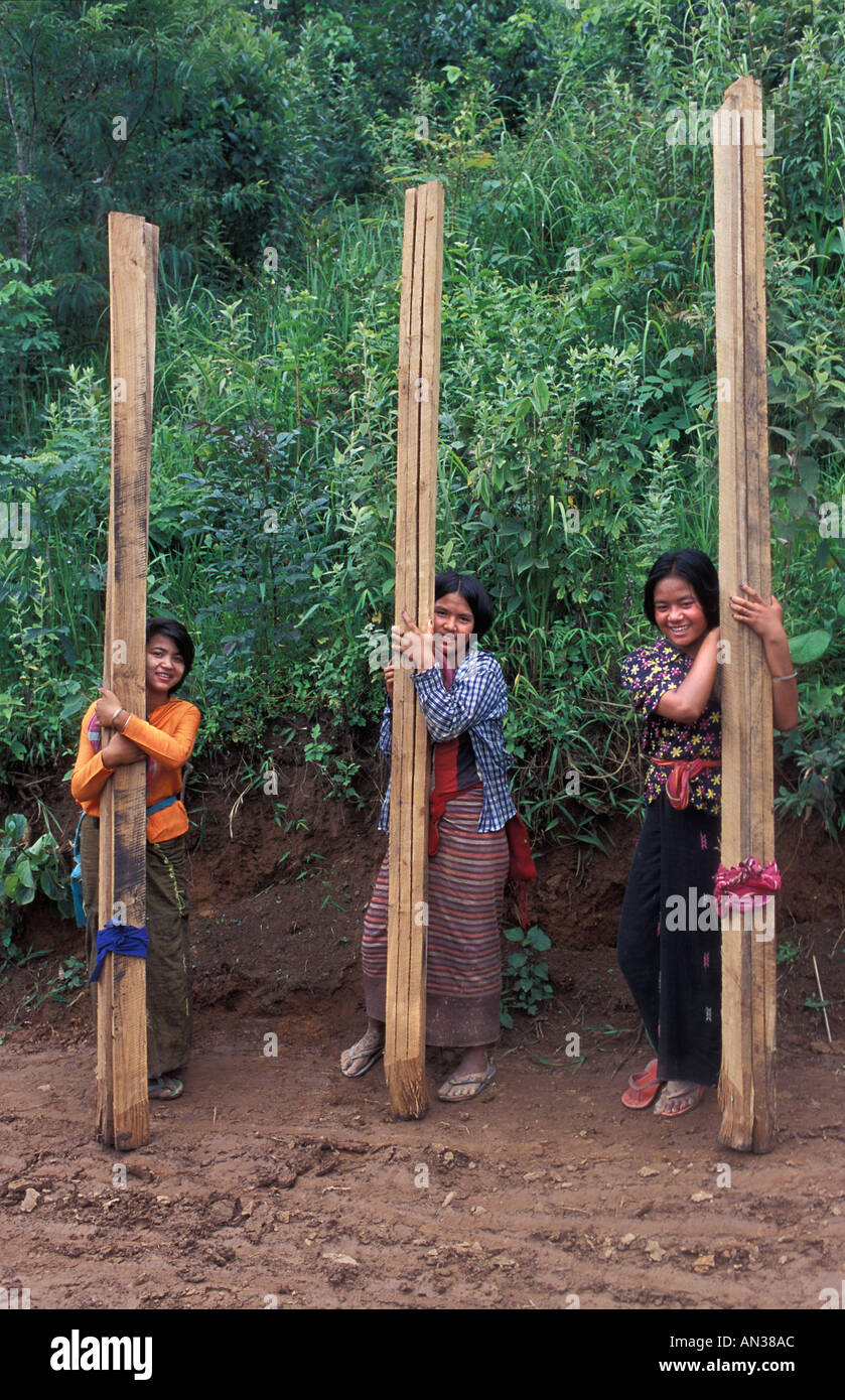 Rural women carrying timber to their village Shan State Eastern Hills ...