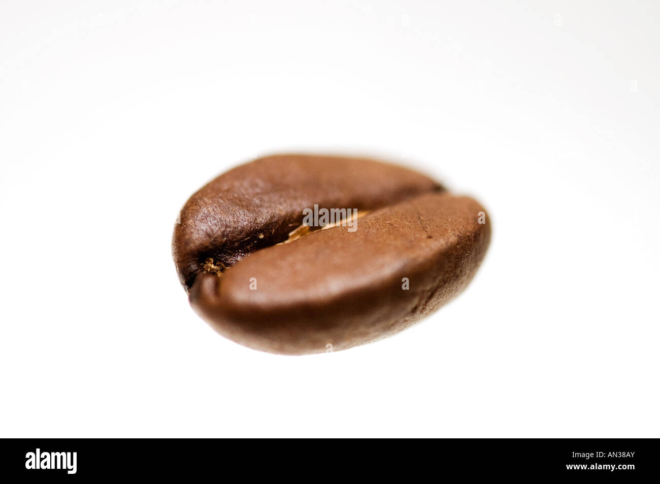 detail of single coffee bean on white background Stock Photo - Alamy
