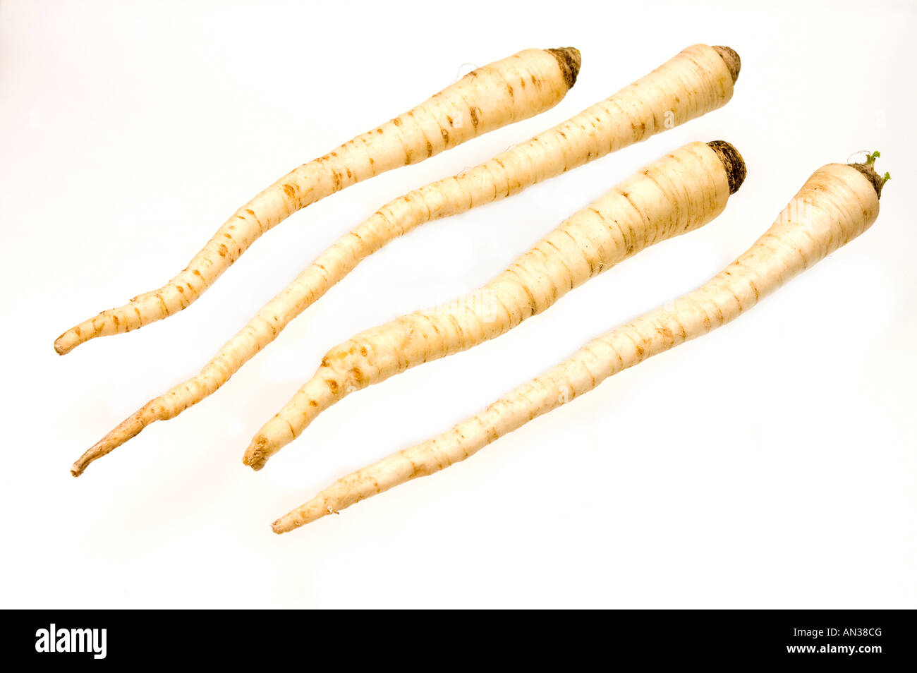vegetable raw parsley root on white background Stock Photo - Alamy