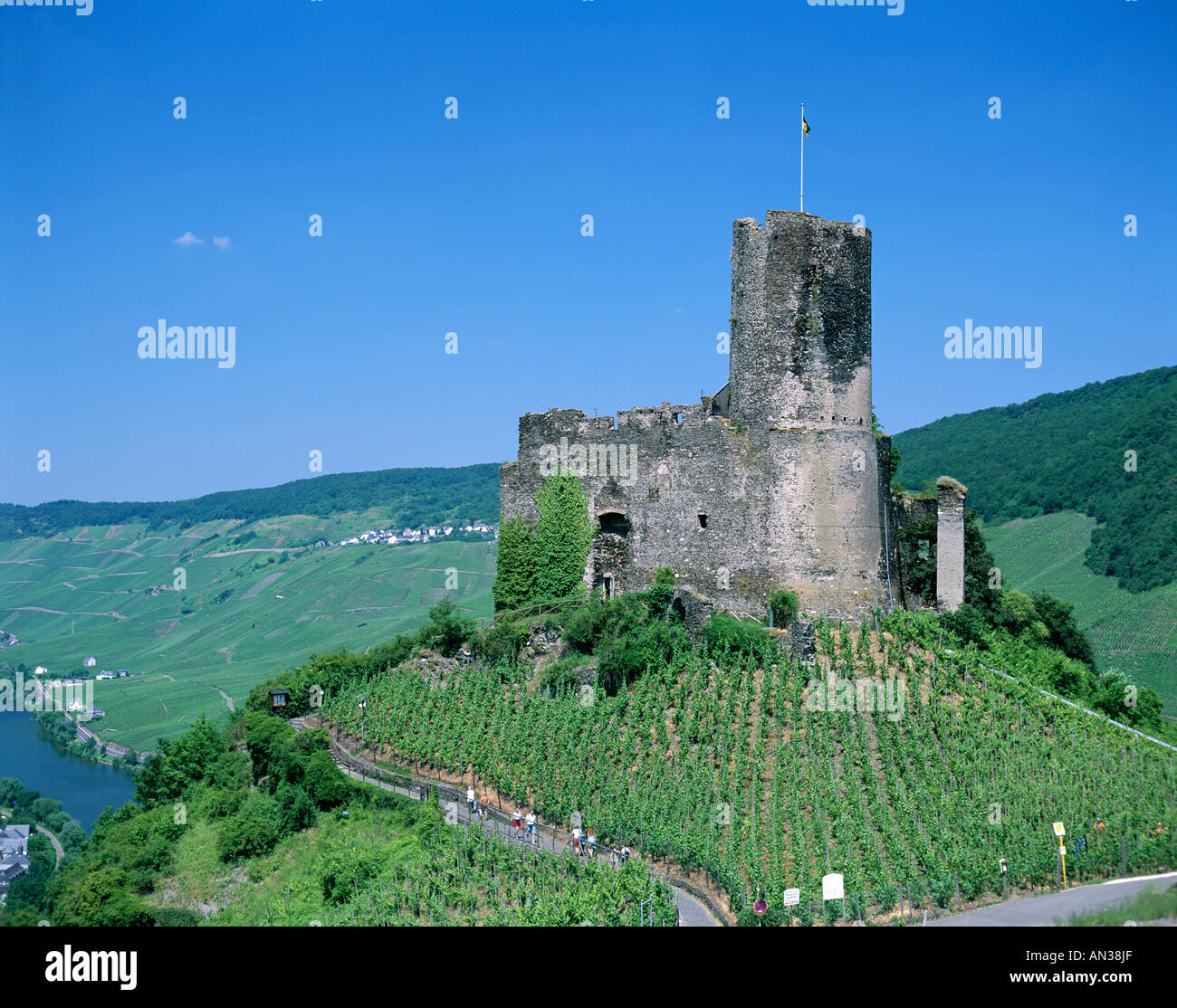 Bernkastel Castle & Mosel River & Vineyards, Bernkastel, Mosel Valley ...