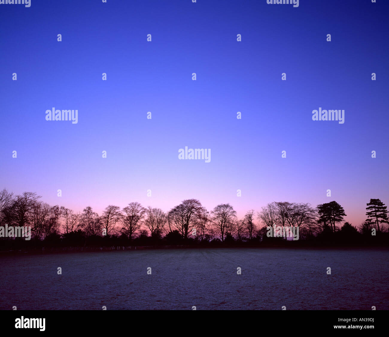 Winter Dawn over Kent, England, UK Stock Photo - Alamy