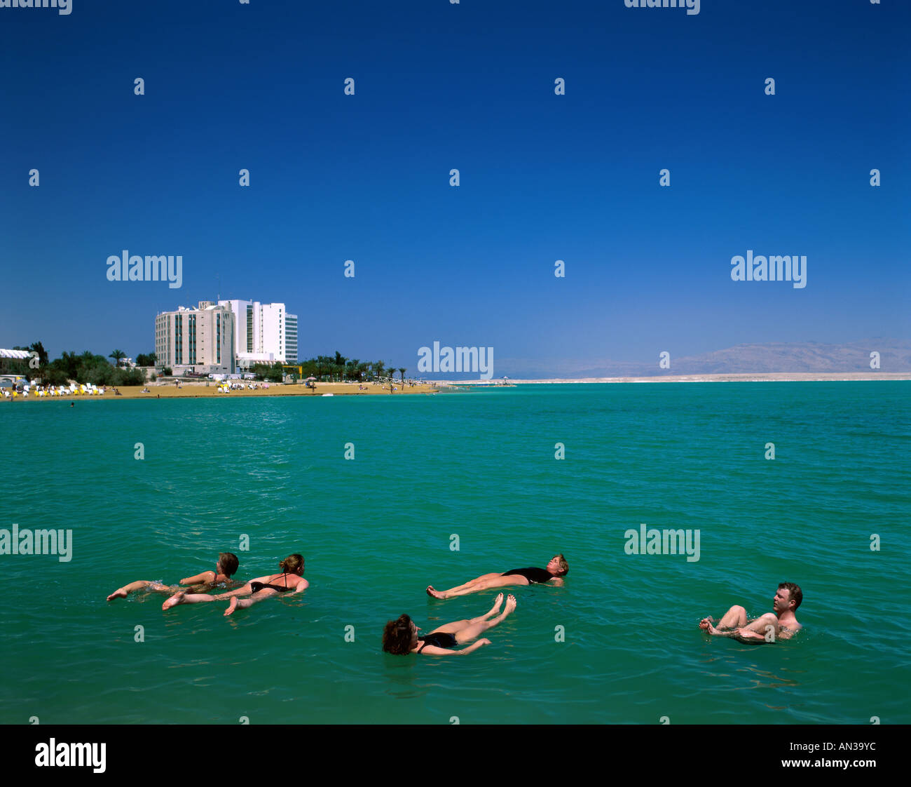 People / Tourists Floating in the Dead Sea, Ein Gedi, Dead Sea, Israel ...