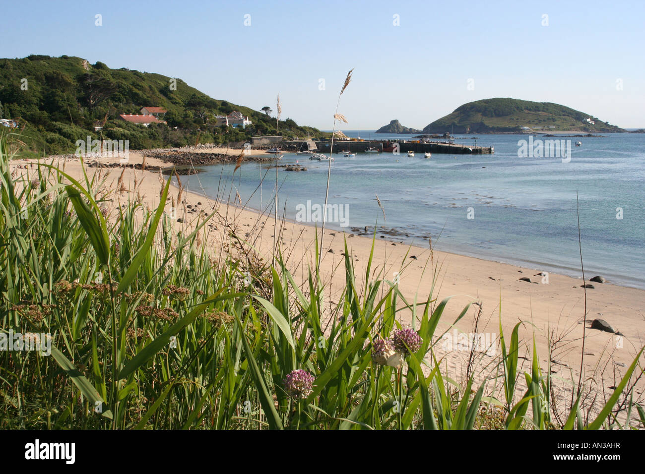 Hern channel islands hi-res stock photography and images - Alamy
