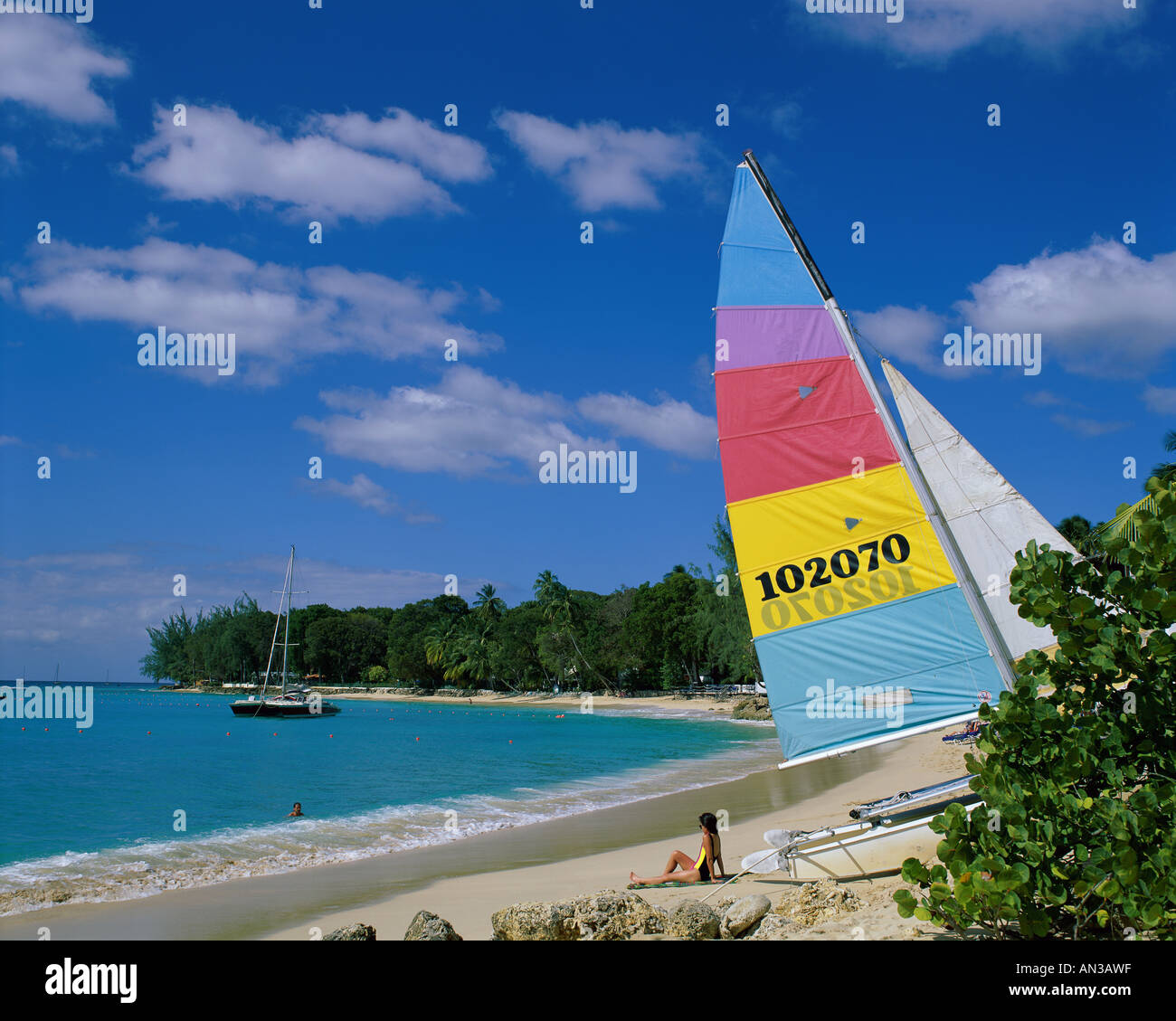 Holetown Beach / Sand / Sea / Talm Trees, Barbados, Caribbean Islands ...