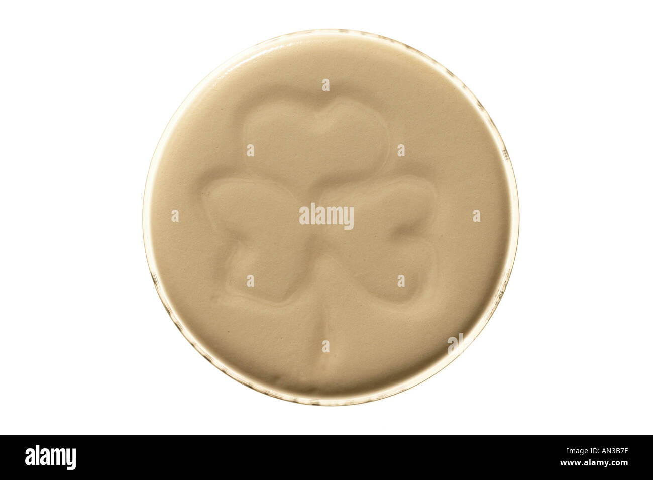 Guinness Shamrock on top of a pint Stock Photo - Alamy