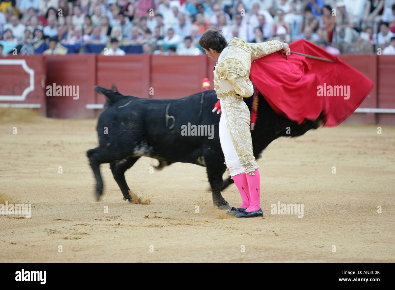 Olay Bullfighting