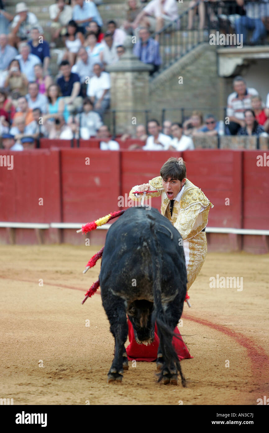Olay Bullfighting