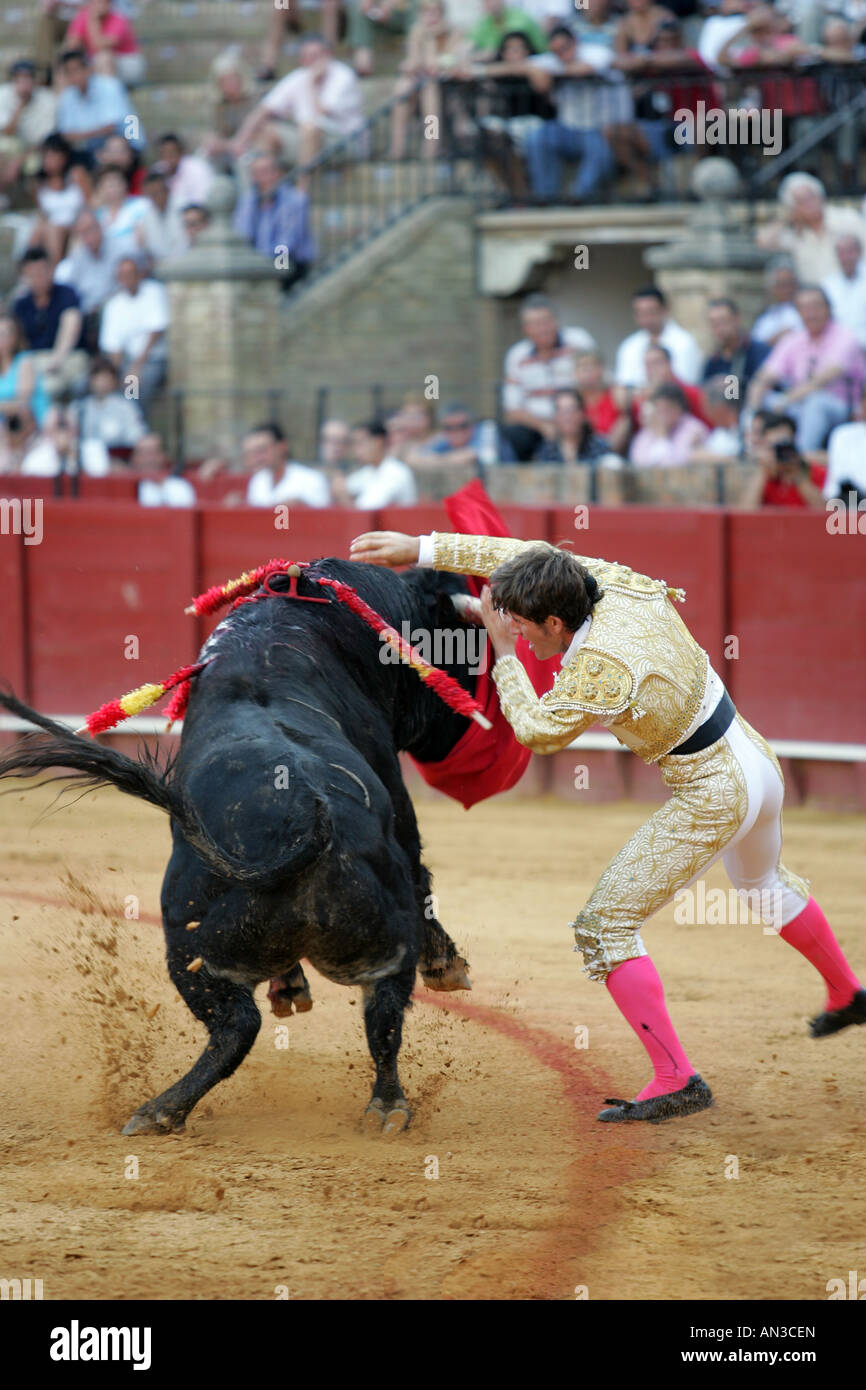 Sequence of a bullfighter stabbing a bull Stock Photo - Alamy