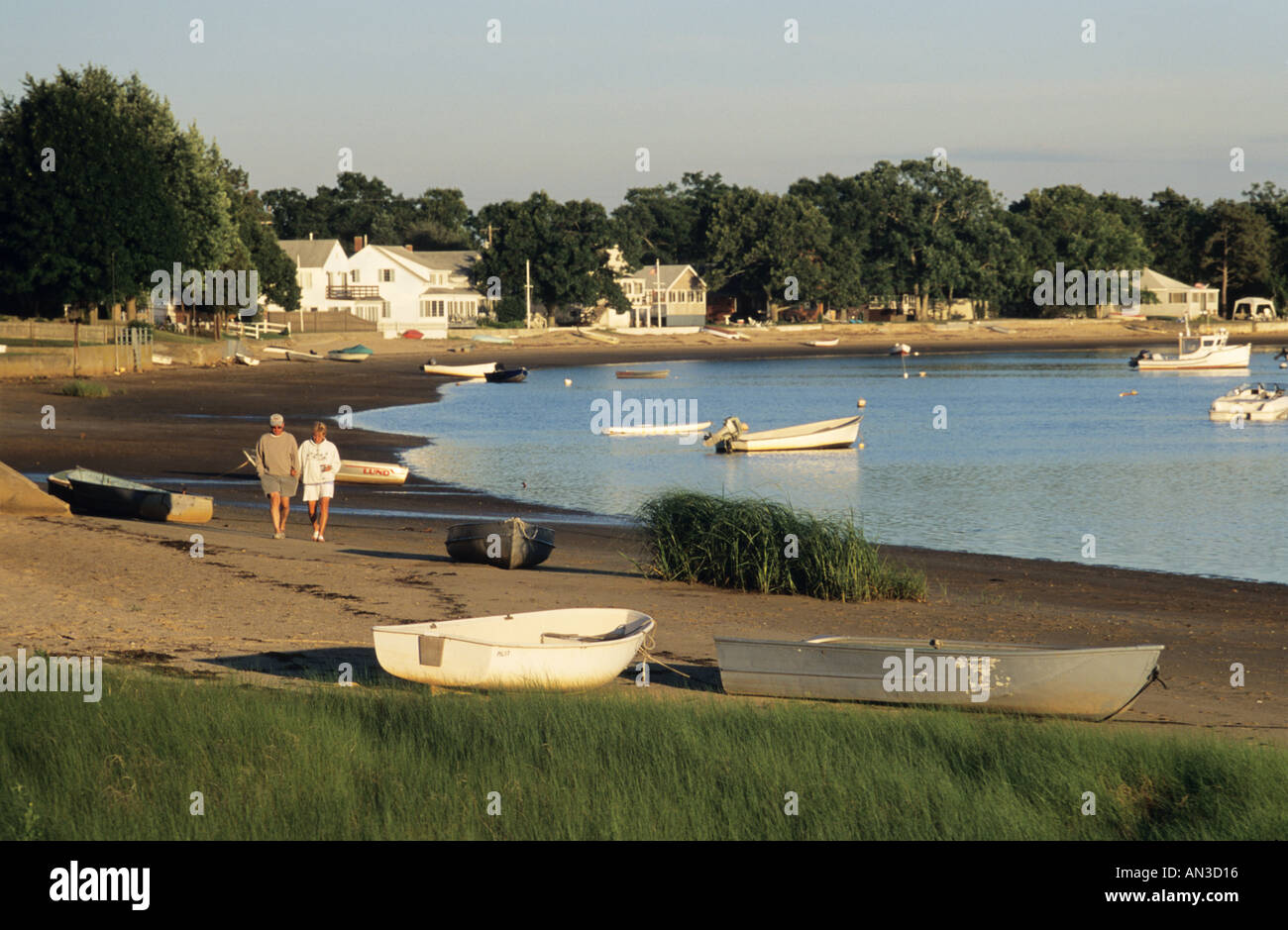 Fishing buzzards hi-res stock photography and images - Alamy