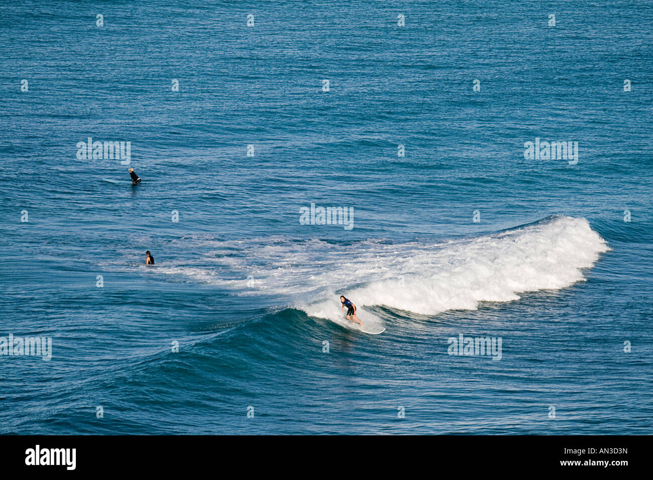 Surfing on Waikiki beach Oahu Hawaii Stock Photo - Alamy