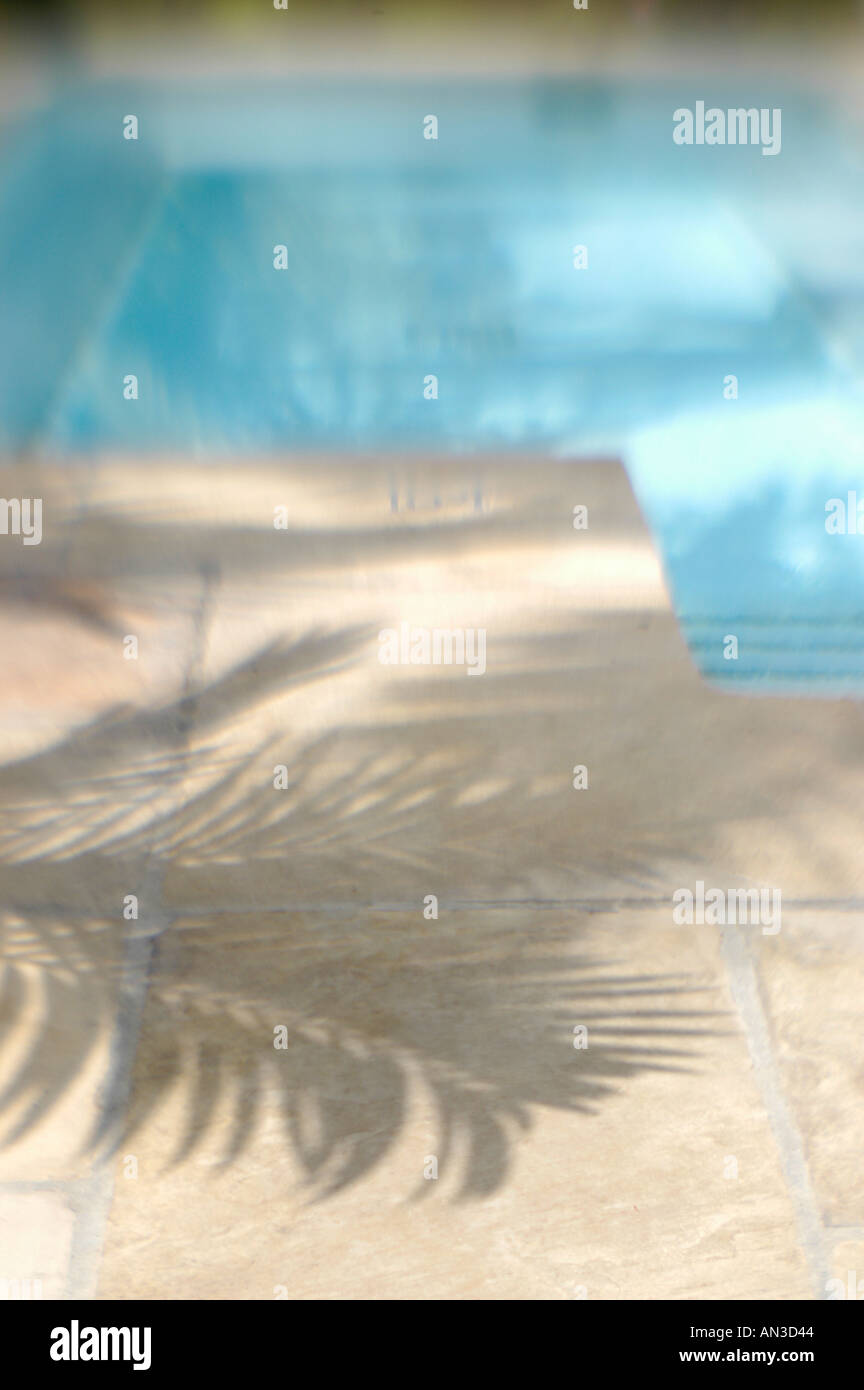 Palm Frond shadow at a Poolside Resort Stock Photo - Alamy