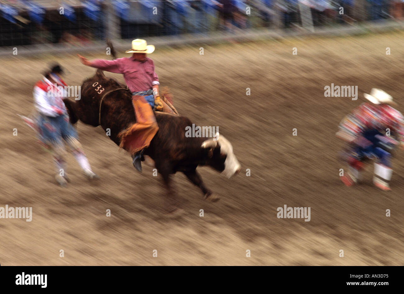 Rodeo bull rider and clown USA Stock Photo - Alamy