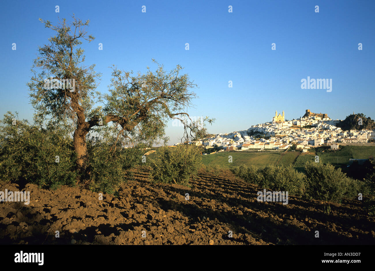 Balancos hi-res stock photography and images - Alamy