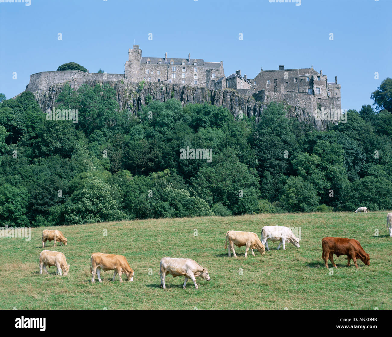 Stirling Castle, Central Region, Scotland Stock Photo - Alamy